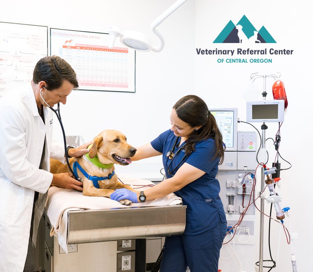 Veterinary Referral Center of Central Oregon Expands Life-Saving ...
