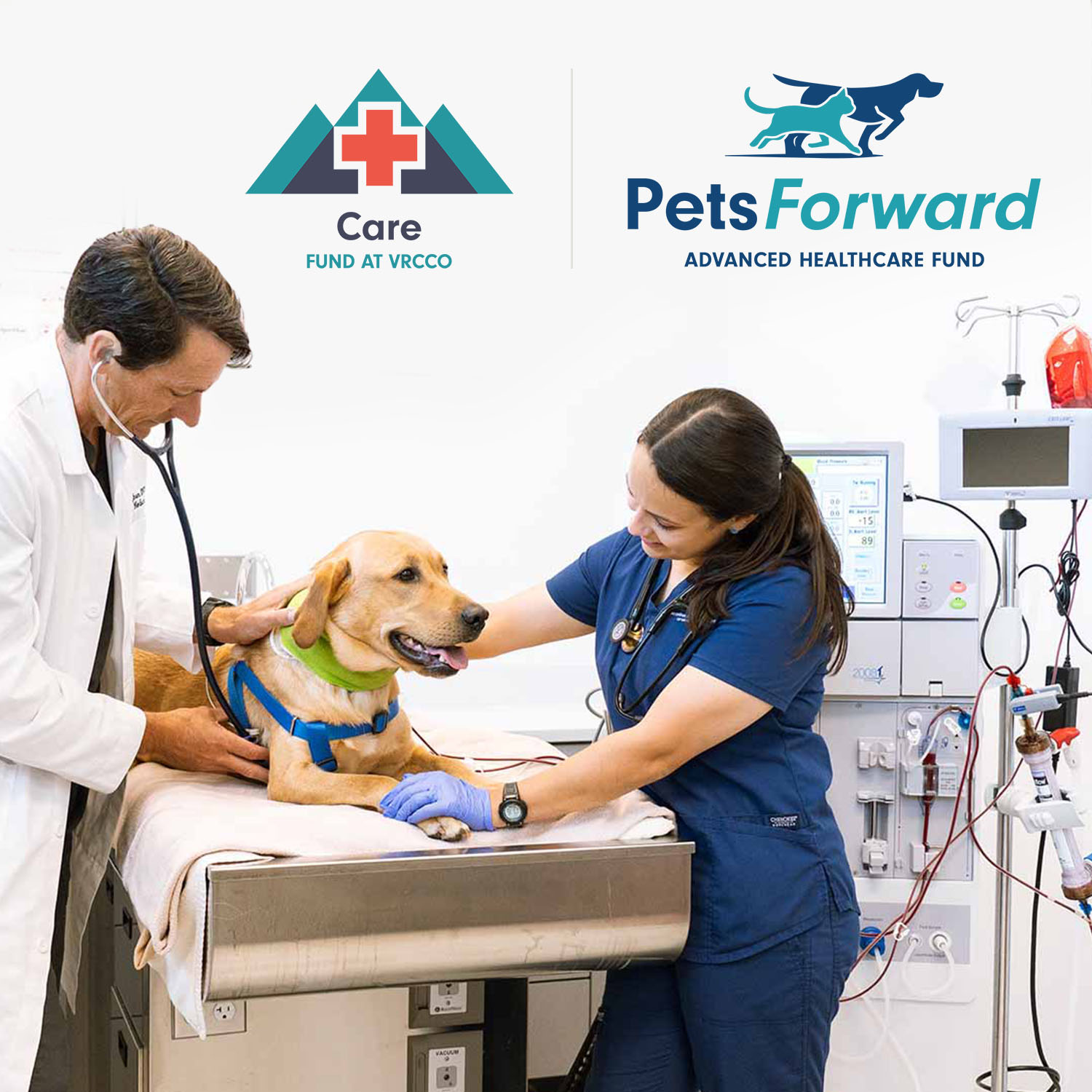 Veterinary Referral Center of Central Oregon Launches PetsForward ...